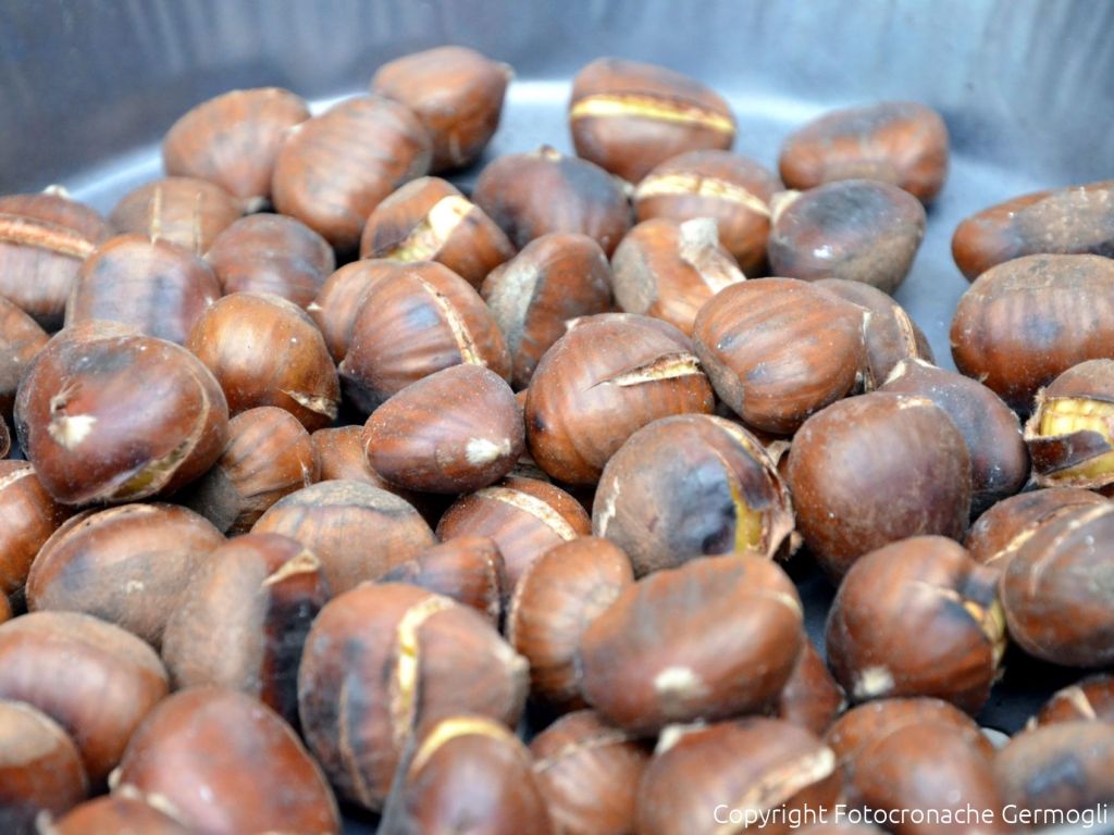 Tempo di castagne: tornano le feste dei marroni. Tutte le sagre nel ...