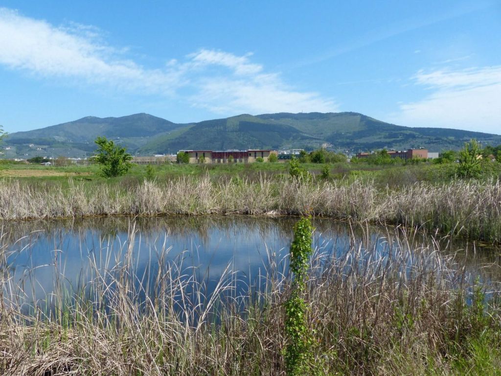 Festa Annuale delle Oasi WWF, visite guidate gratuite all'oasi Val di ...
