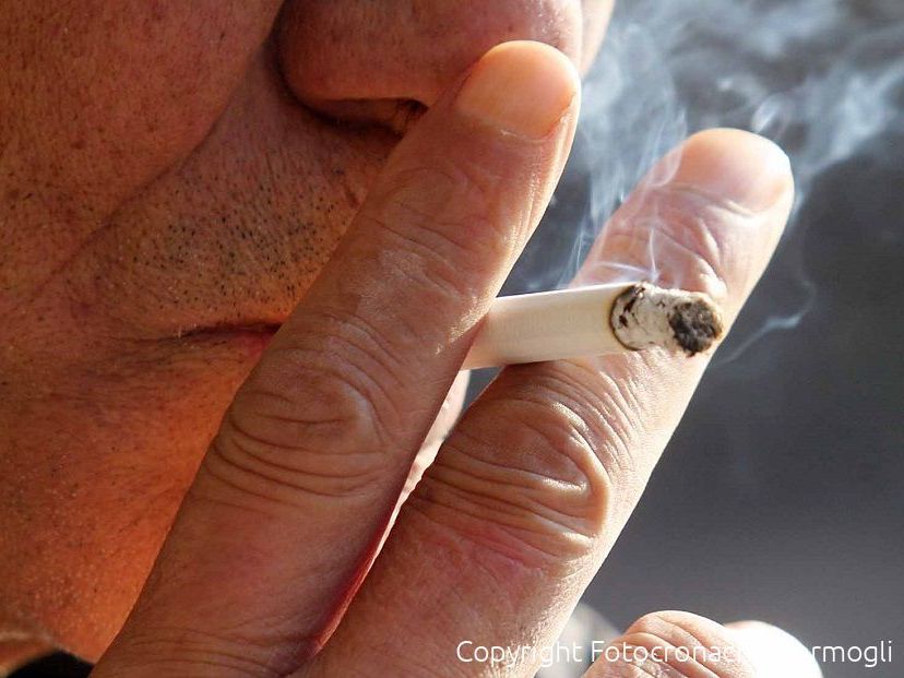 Giornata mondiale senza tabacco, Ispro: ‘Necessario proteggere i ...