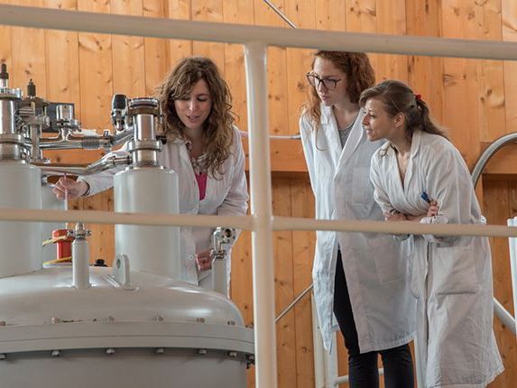 WUR 2026, l'Università di Firenze si conferma nella top 400 su oltre duemila atenei