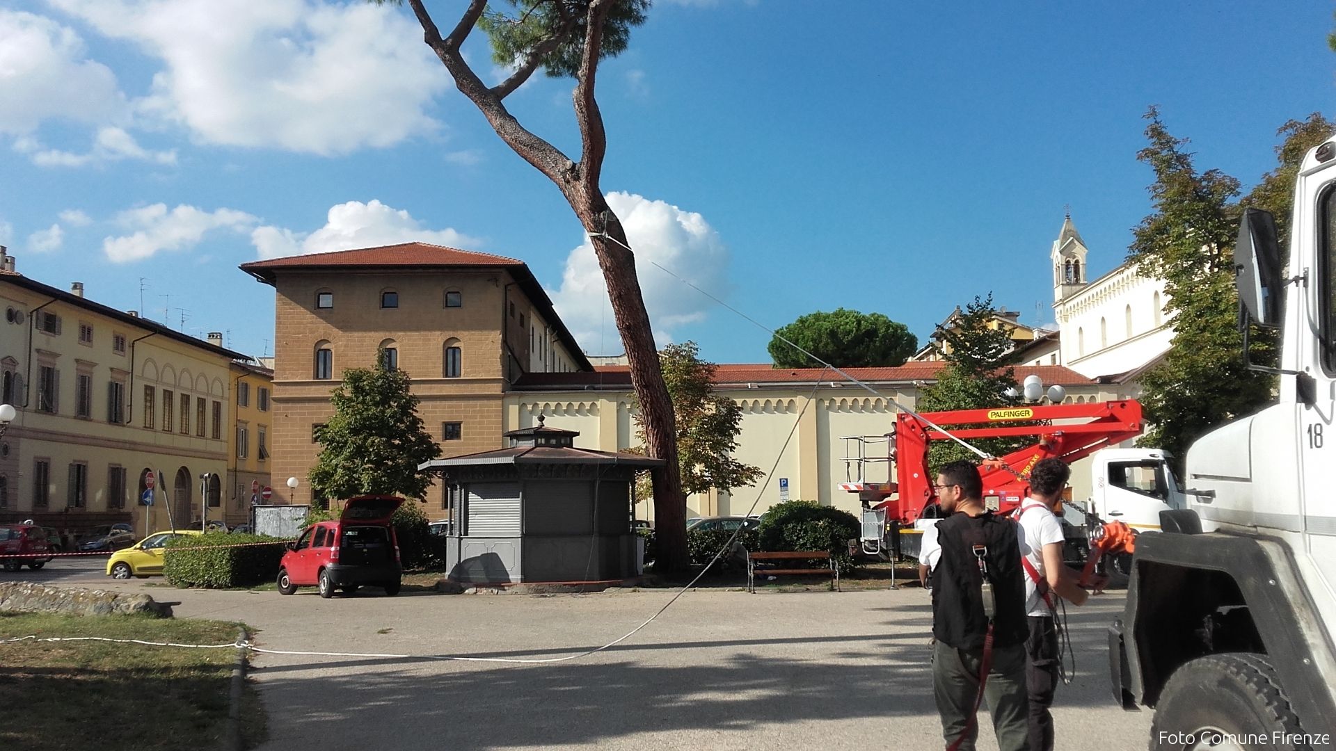 Firenze, prove di trazione sugli alberi in via dei Vespucci Firenze, prove di trazione sugli alberi in via dei Vespucci
